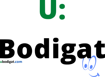 U:Bodigat Code Formatter - Visual Studio Marketplace